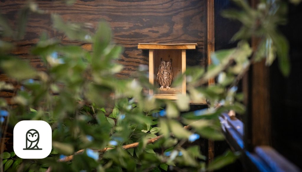 Programs - Spring Creek Greenway Nature Center